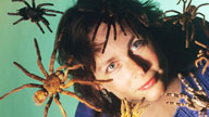 Spider Biology & Evolution - Asian Society of Arachnology