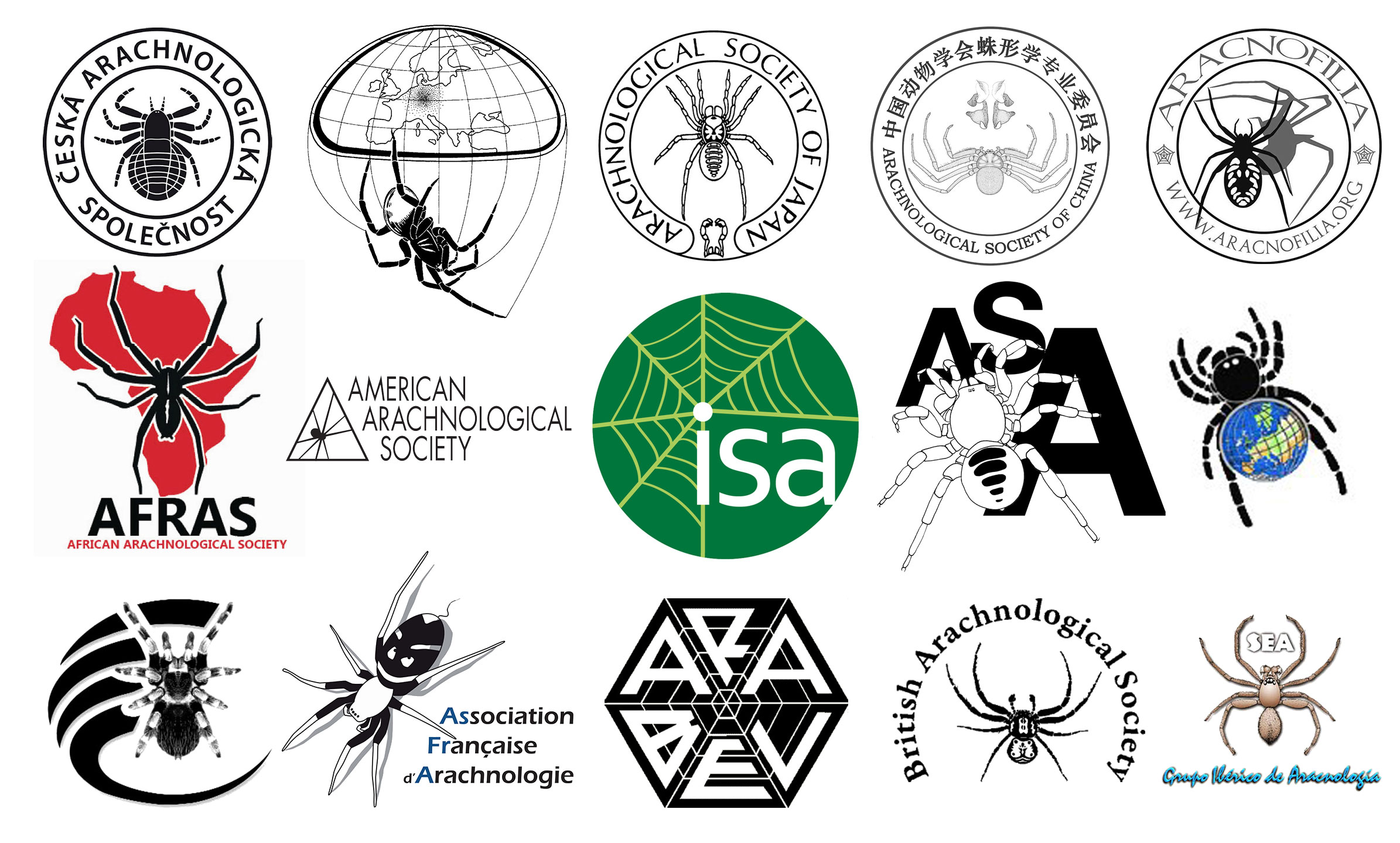 Arachnological Societies - Asian Society of Arachnology