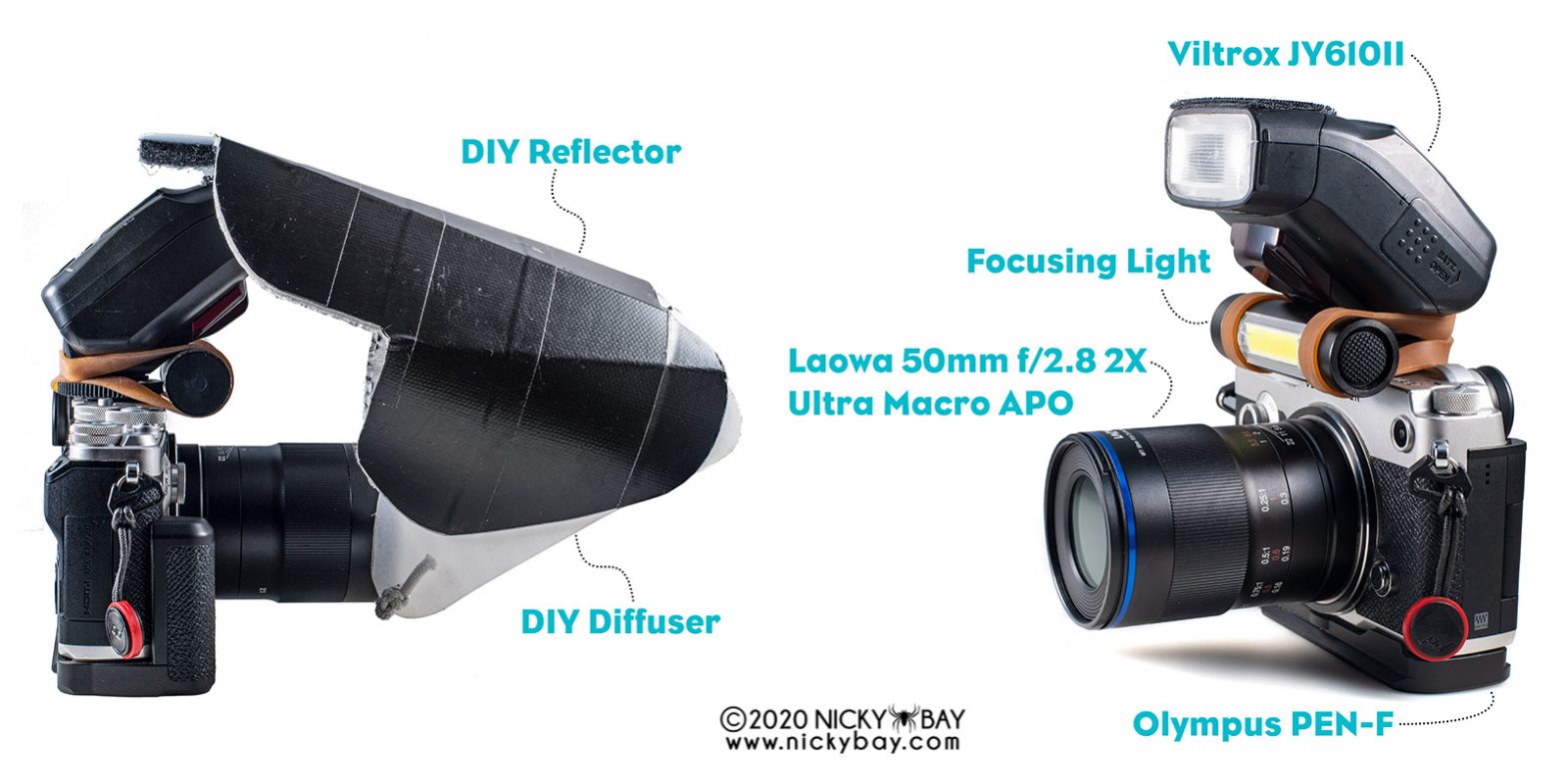 Field Equipment & Techniques for Spider Collection - Asian Society of ...