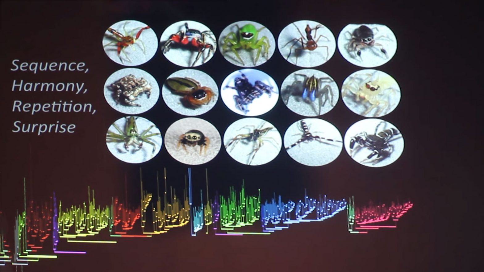 Spider Biology & Evolution - Asian Society of Arachnology