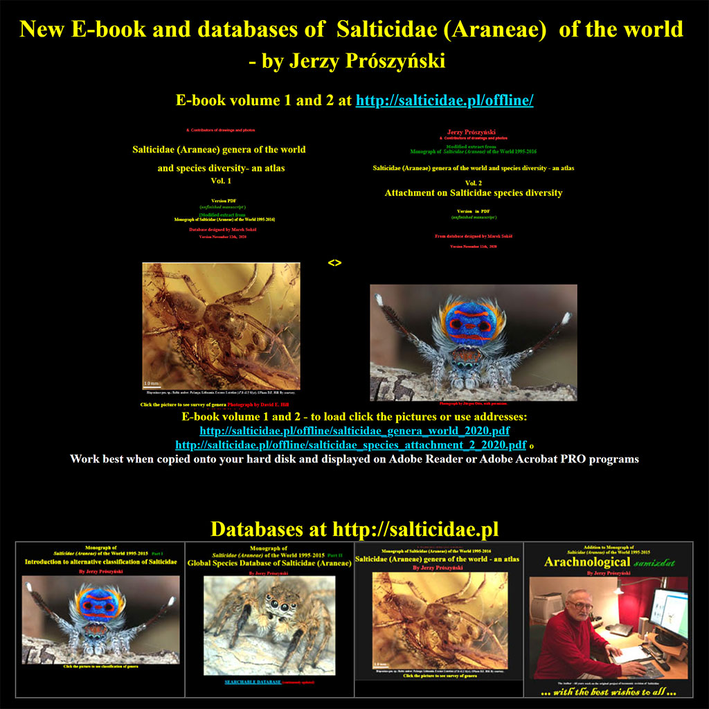 Online Spider Identification Websites - Asian Society of Arachnology