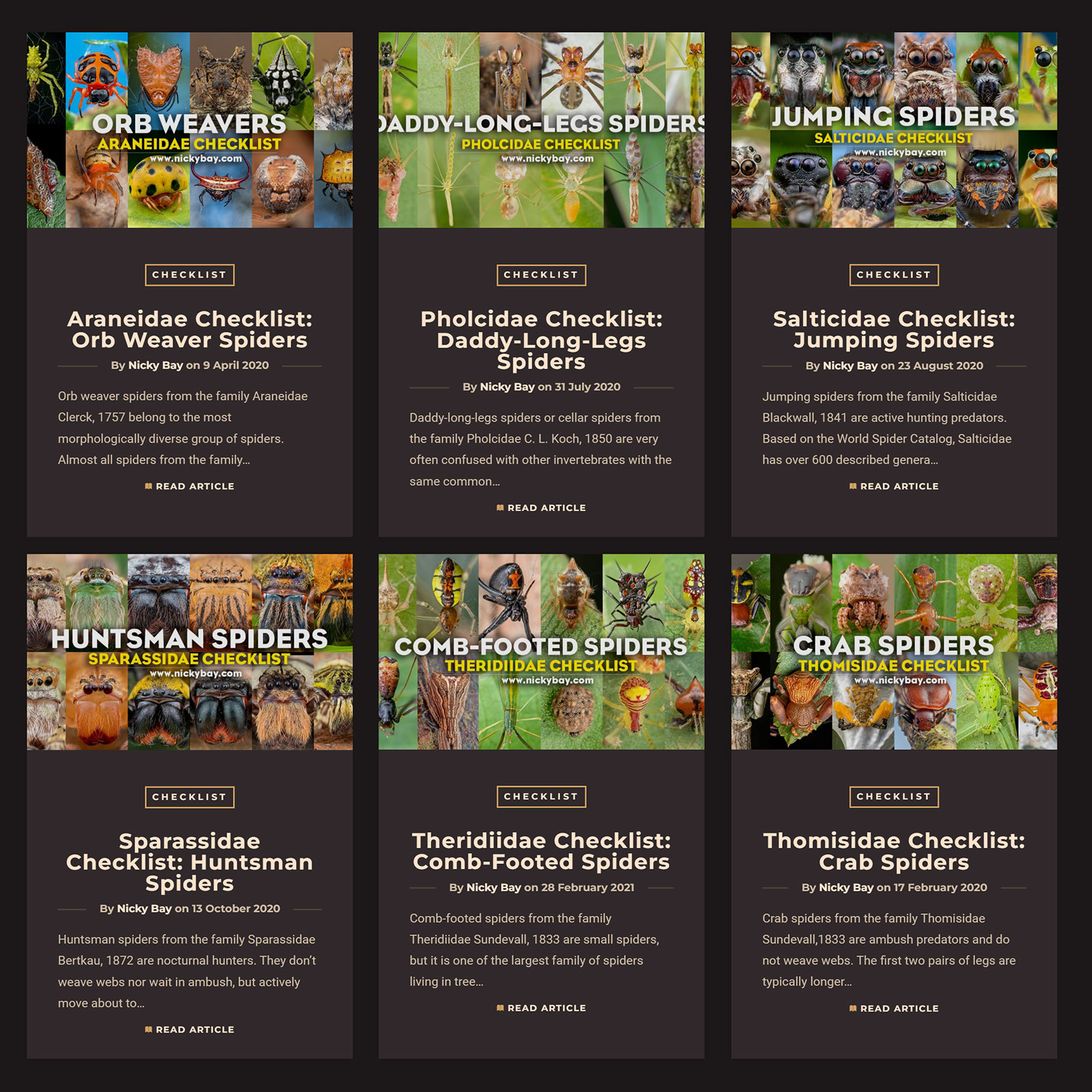 Online Spider Identification Websites - Asian Society of Arachnology