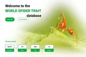 World Spider Catalog - Asian Society of Arachnology