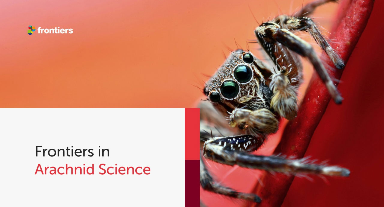 Grand challenges in research on arachnid diversity, conservation, and ...