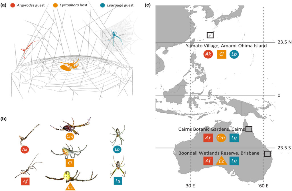 Fitness effects of symbiotic relationships between arthropod predators ...