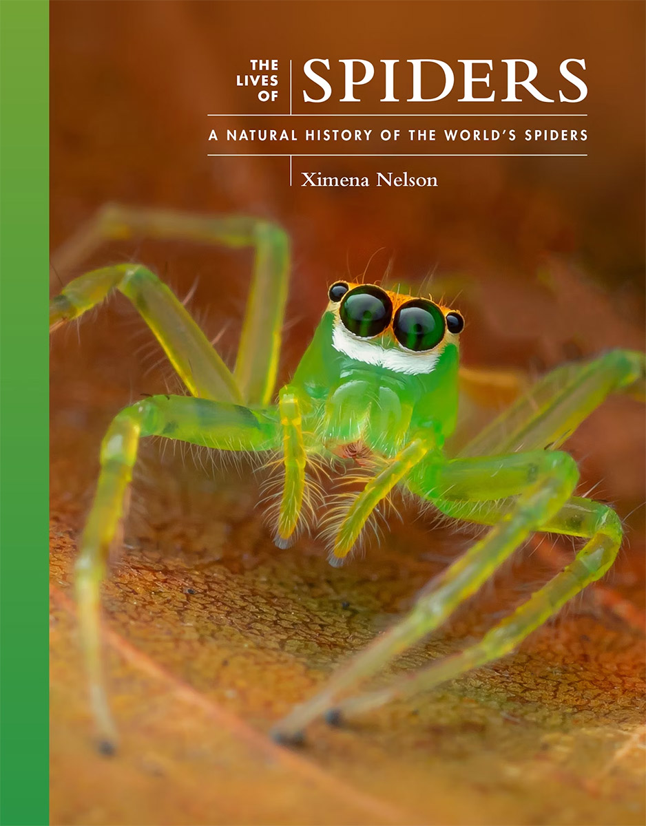 The Lives of Spiders: A Natural History of the World’s Spiders - Asian ...