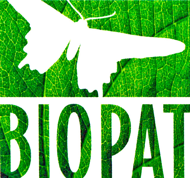 9th Asian Conference of Arachnology 2025, Vang Vieng, Laos - Asian ...