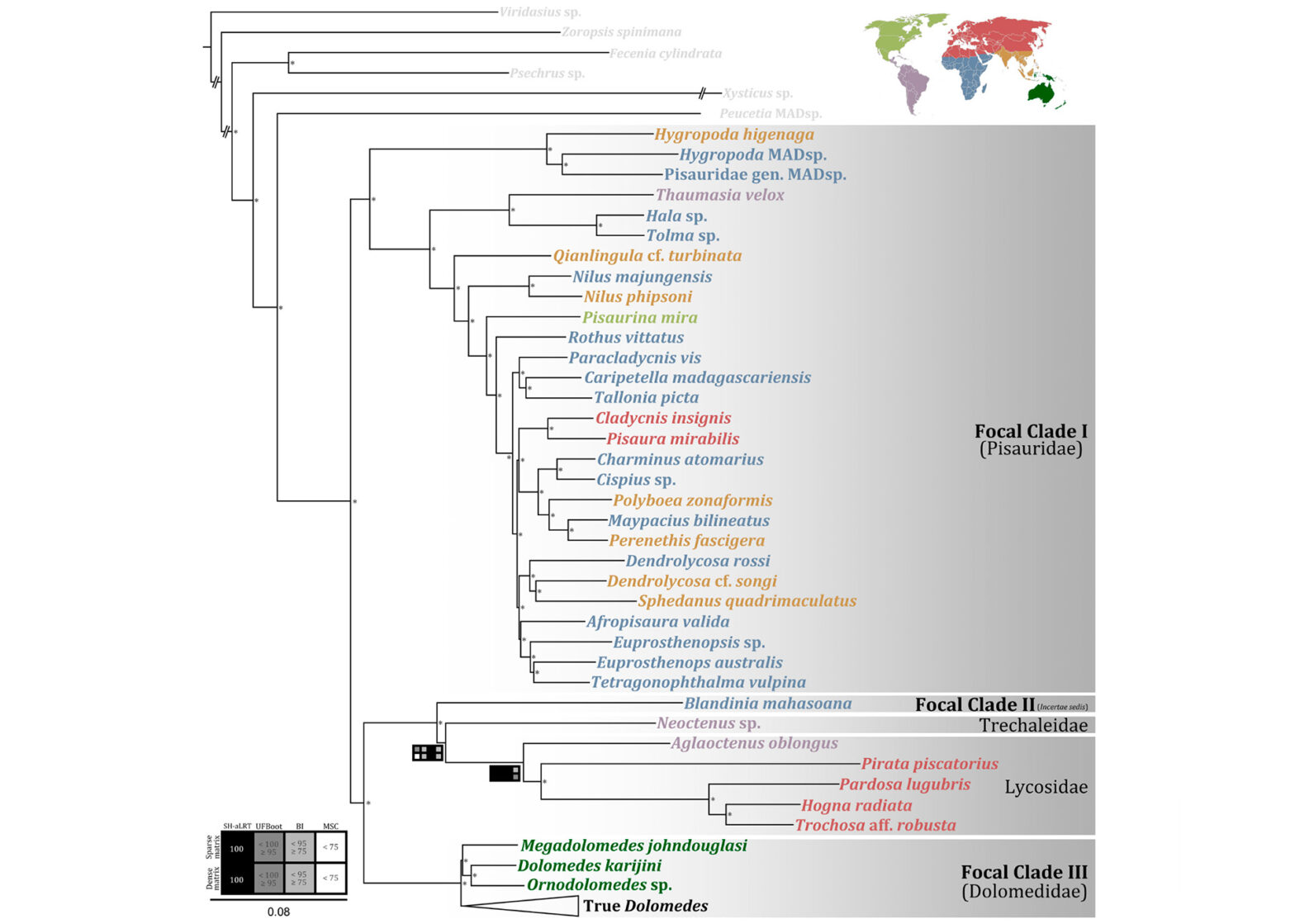 Systematics and evolutionary history of raft and nursery-web spiders ...