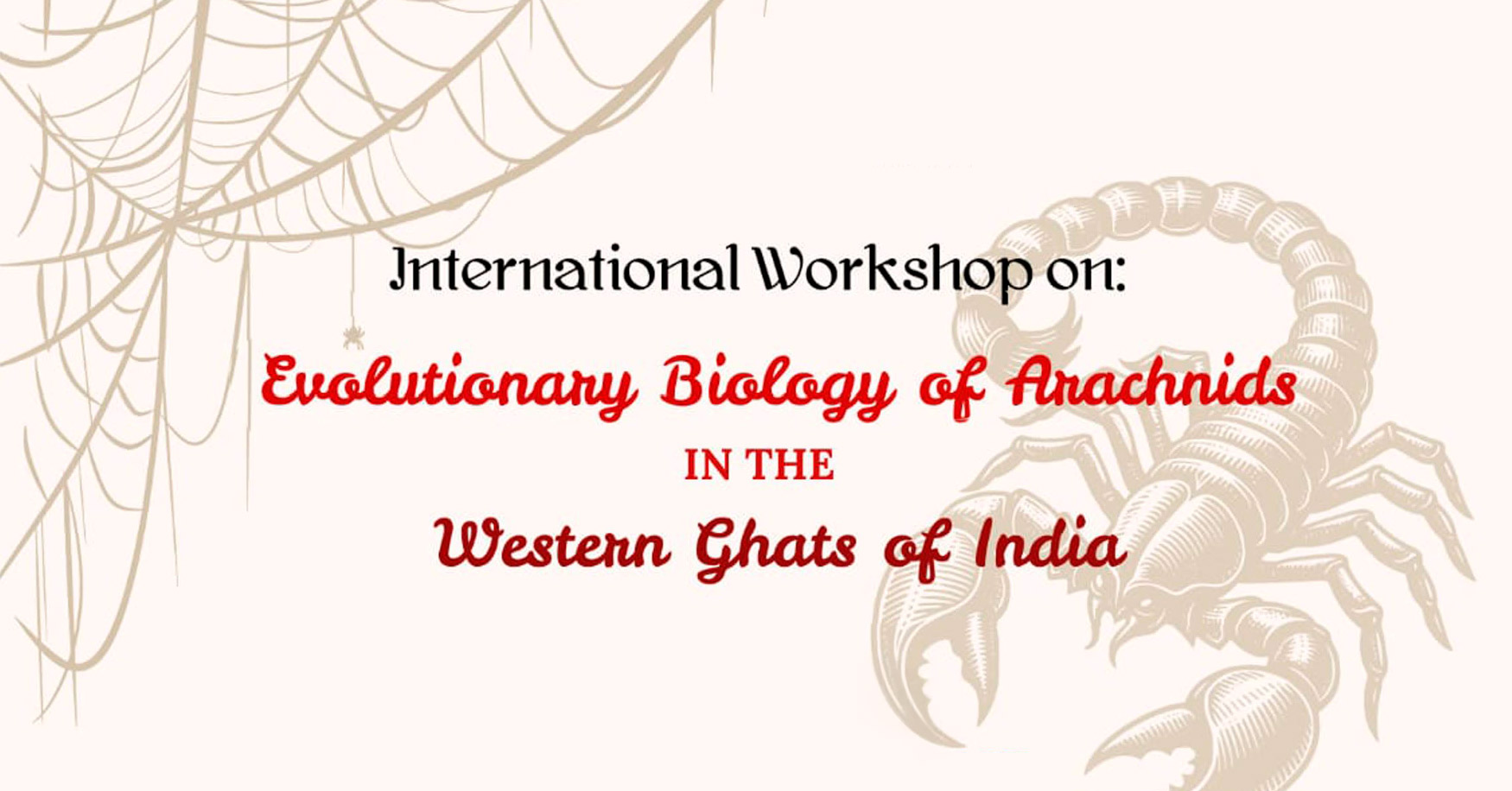 International Workshop: Evolutionary Biology of Arachnids in the ...