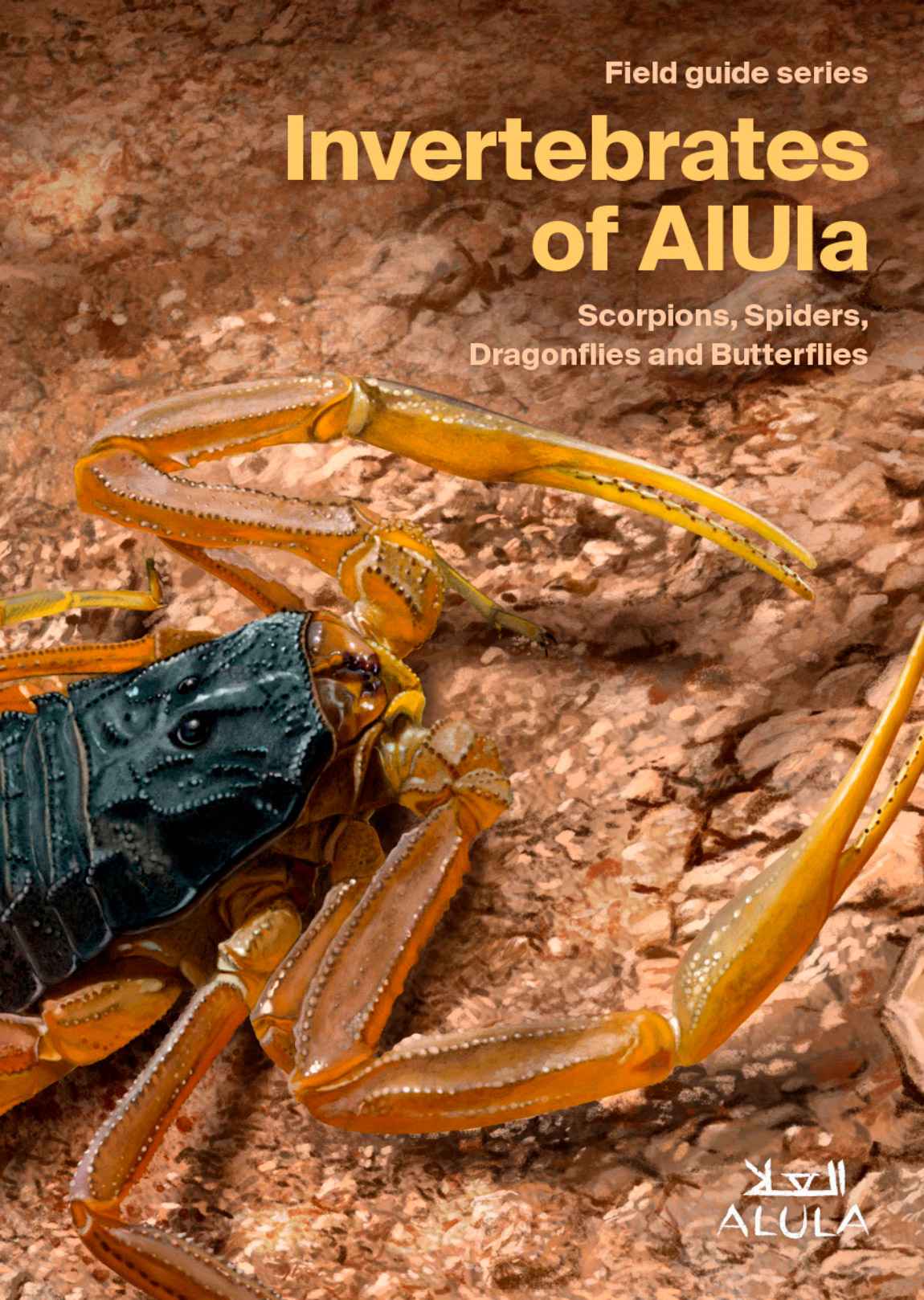Invertebrates of AlUla: Scorpions, Spiders, Dragonflies and Butterflies ...